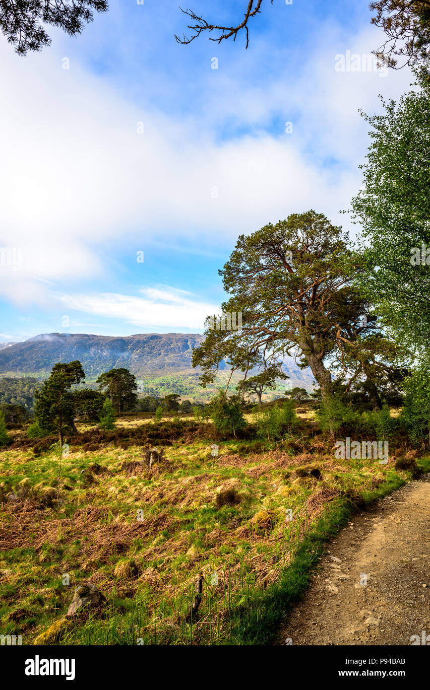 Scottish landscape. mountains and beautiful sky above Scotland Stock ...
