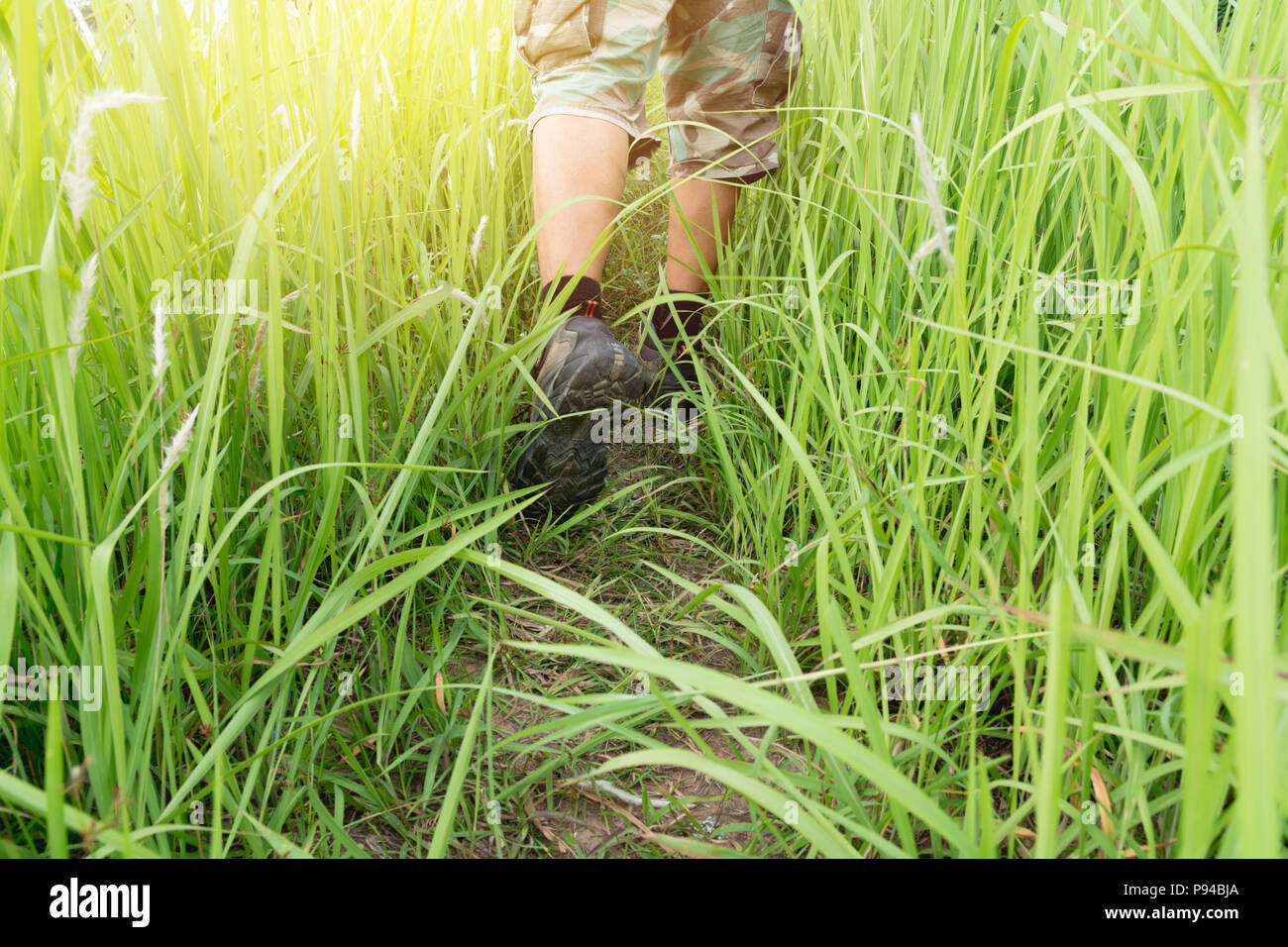 Jungle trekking hi-res stock photography and images - Alamy