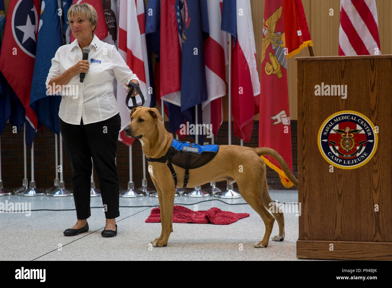 Pappy boyington hi-res stock photography and images - Alamy