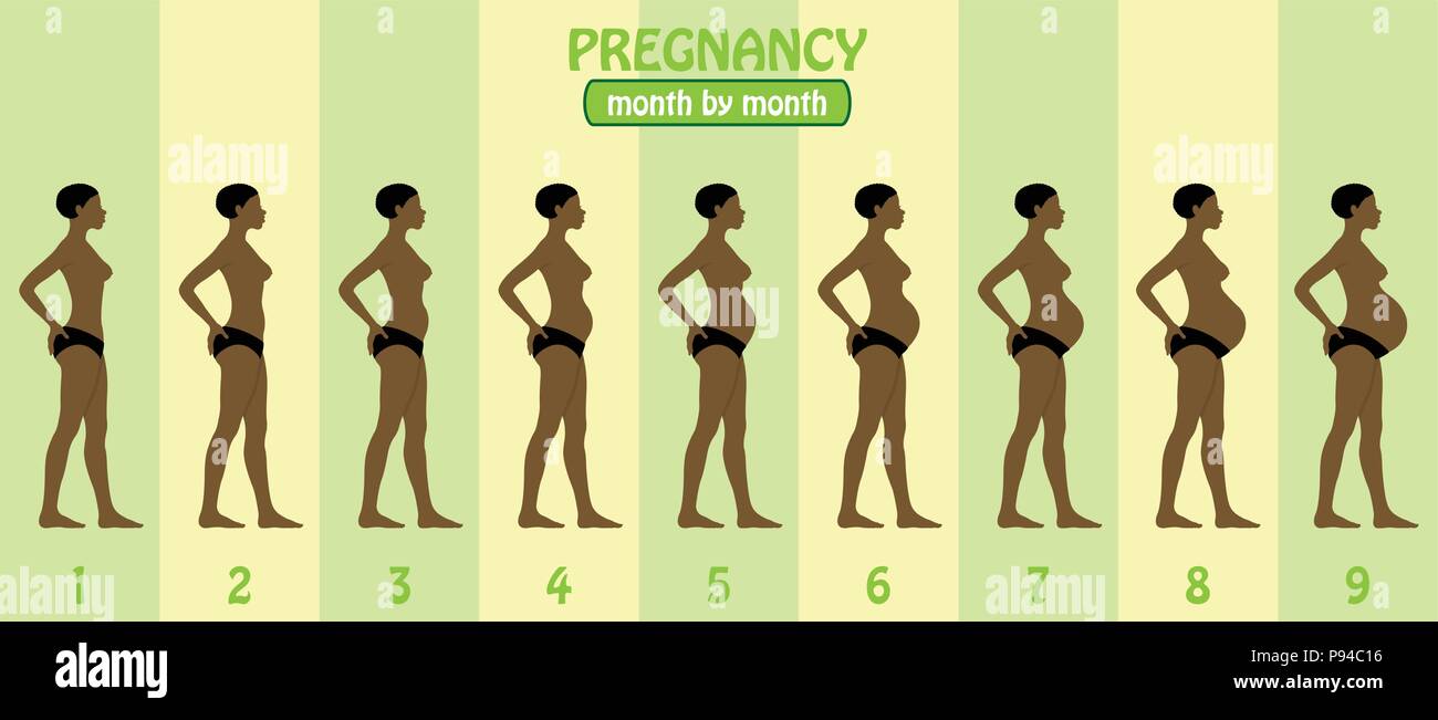 Stages Of Pregnancy Month By Month 8th Month Of Pregnant: Baby