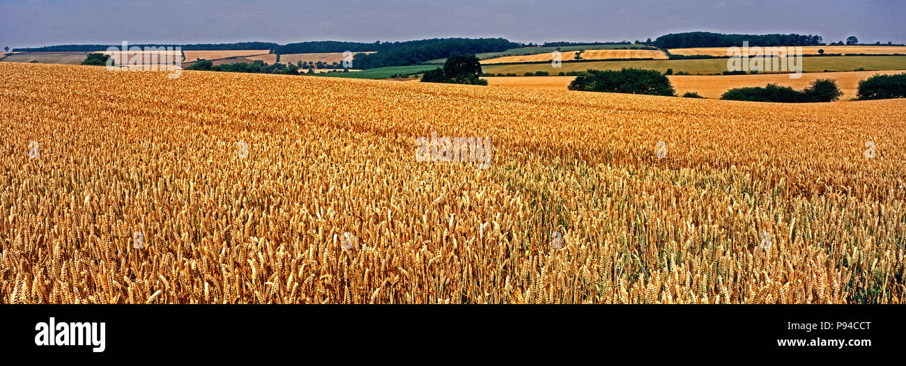 Field landscape rutland england hi-res stock photography and images - Alamy