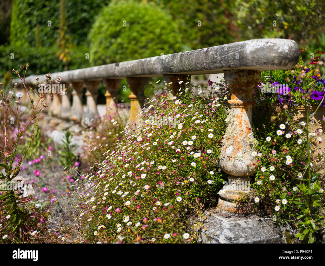 Abbey plants hi-res stock photography and images - Alamy