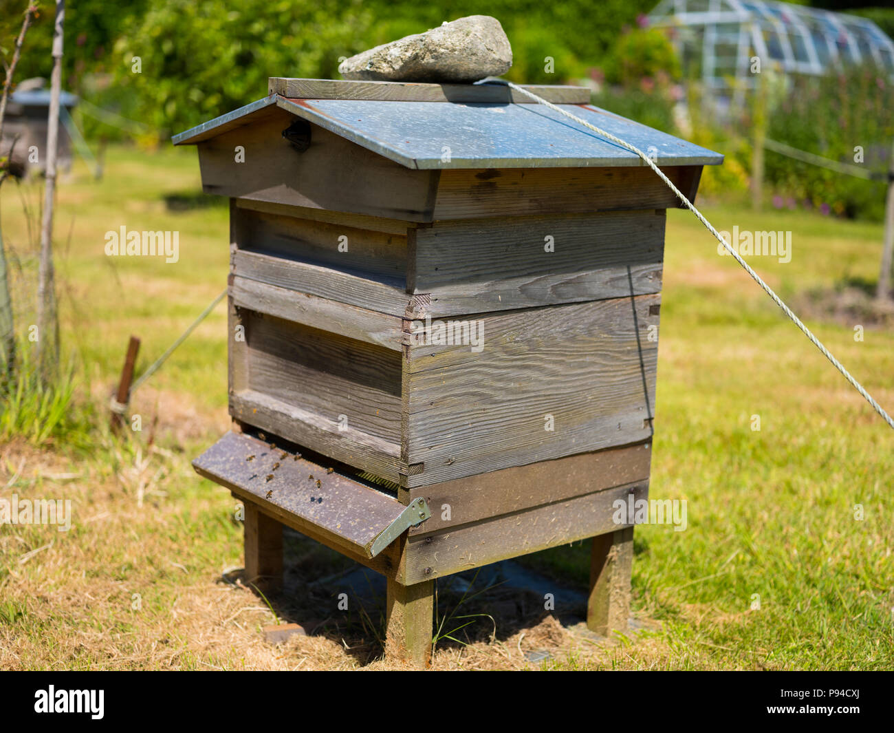 Beehive hut and uk hi-res stock photography and images - Alamy