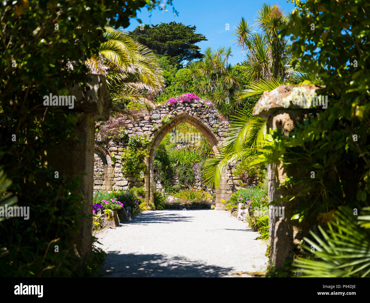 Scilly isles tresco flowers hi-res stock photography and images - Alamy