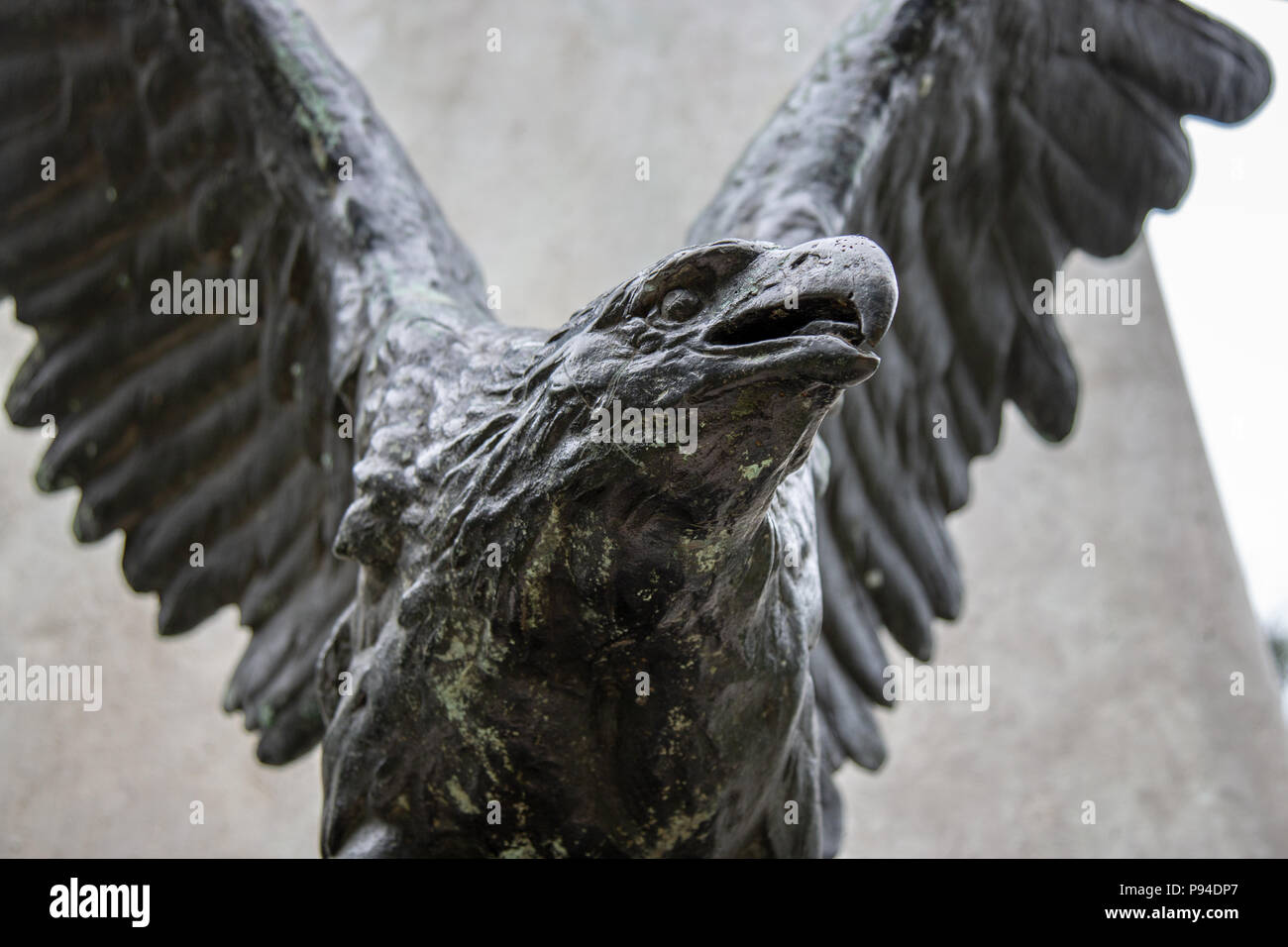 American eagle george washington hi-res stock photography and images ...