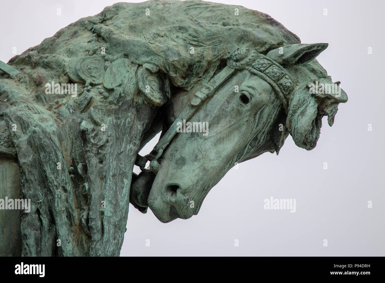 A horse head on the base of the column of the Millennium Monument in ...