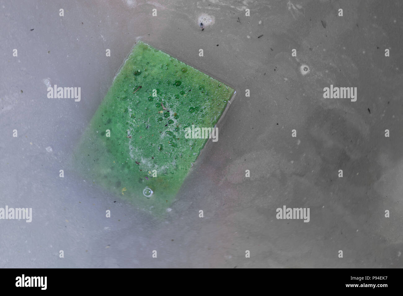 Green dirty sponge floating in dirty grey water Stock Photo - Alamy