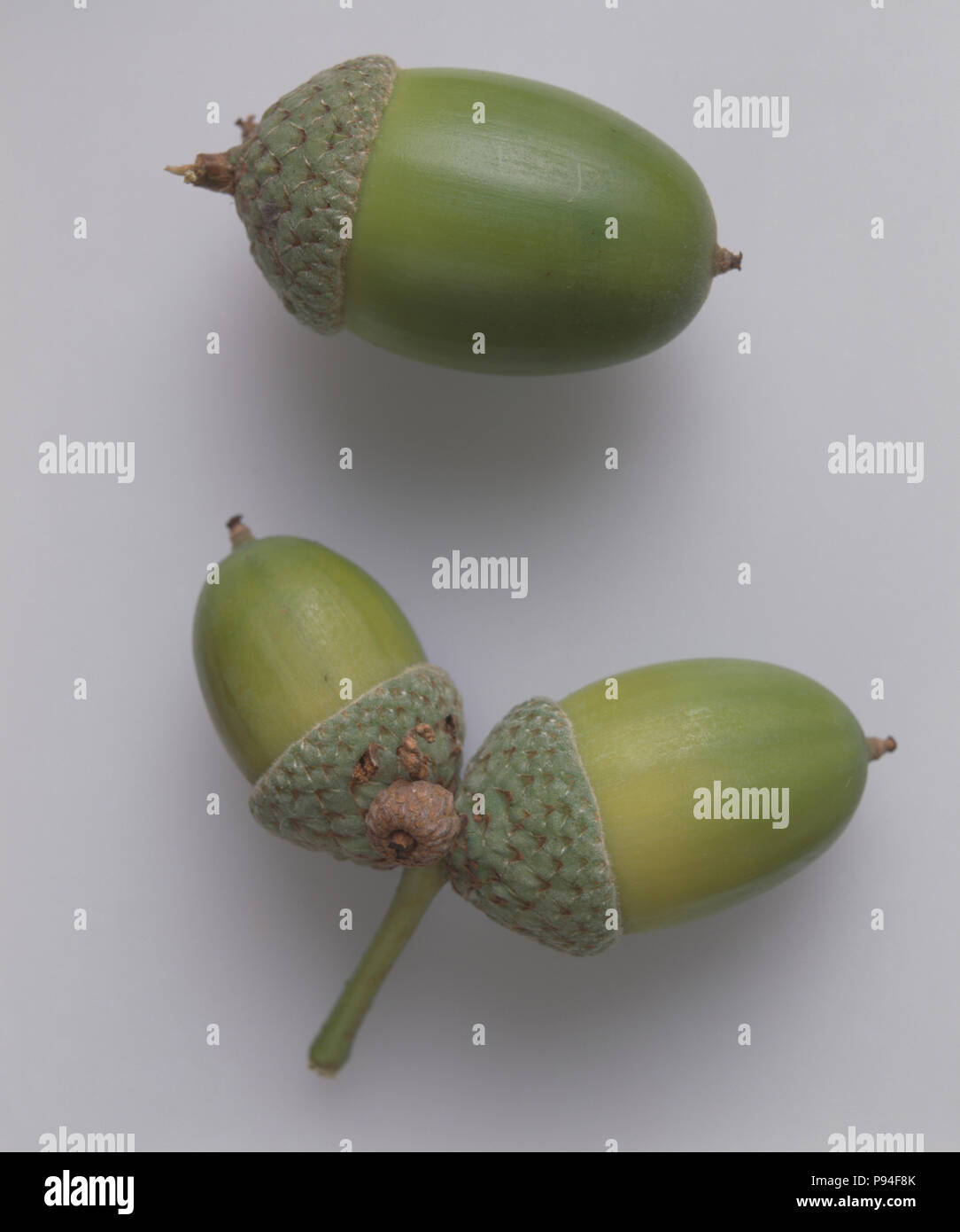 Hr 1033 hi-res stock photography and images - Alamy