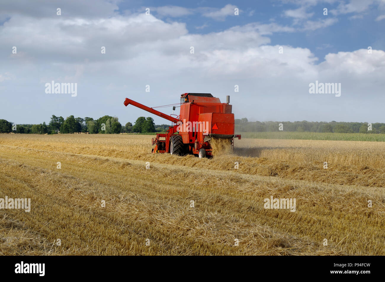 Red combine-harvester working on grain field. Harvesting time Stock ...