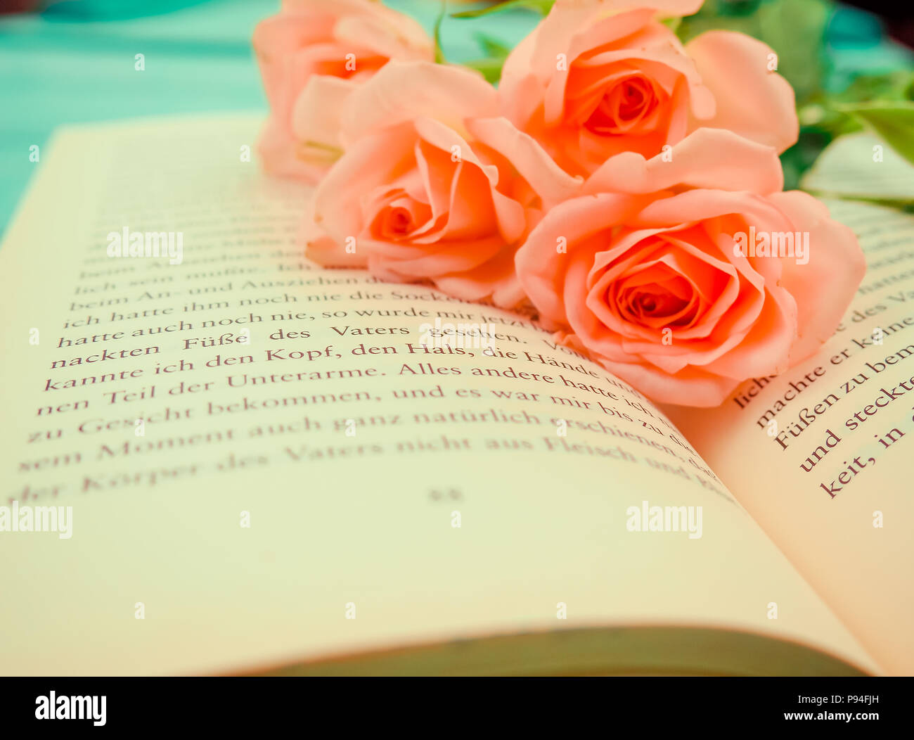 book novel in German is open, on it gentle roses, reading, concept of ...