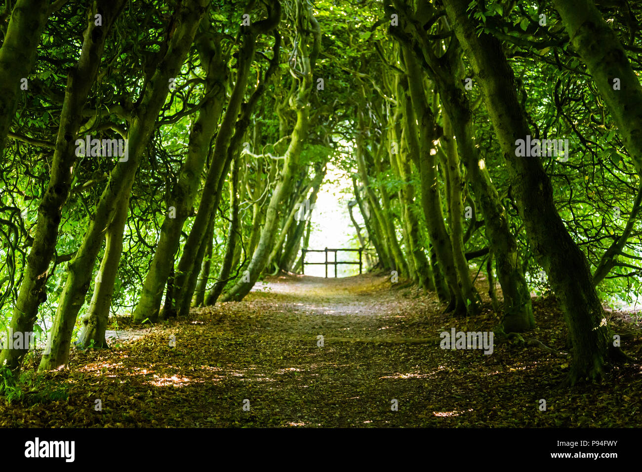 Walkway coridor hi-res stock photography and images - Alamy