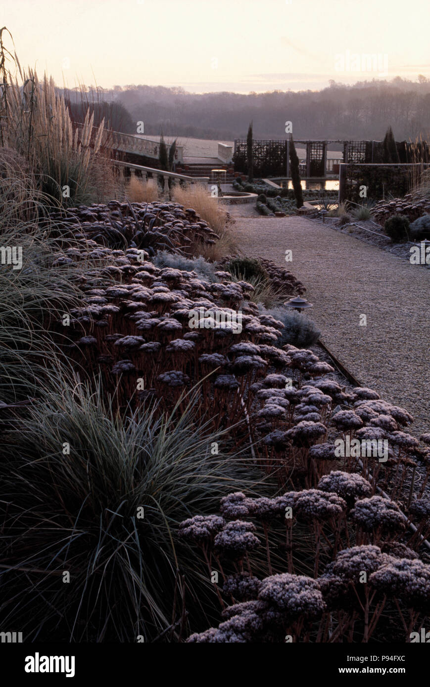 Path and borders with frosted plants in country garden in winter Stock ...