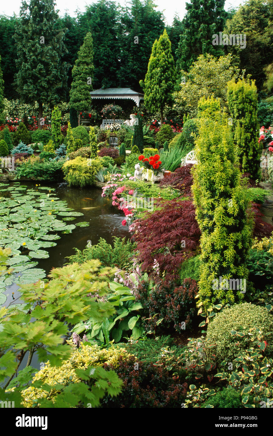 Large pond and conifers in country garden Stock Photo - Alamy