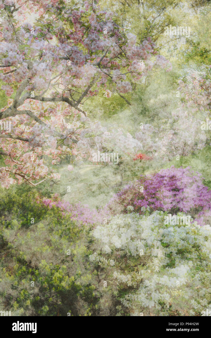 Abstract garden floral background, hazy spring pastels Stock Photo - Alamy