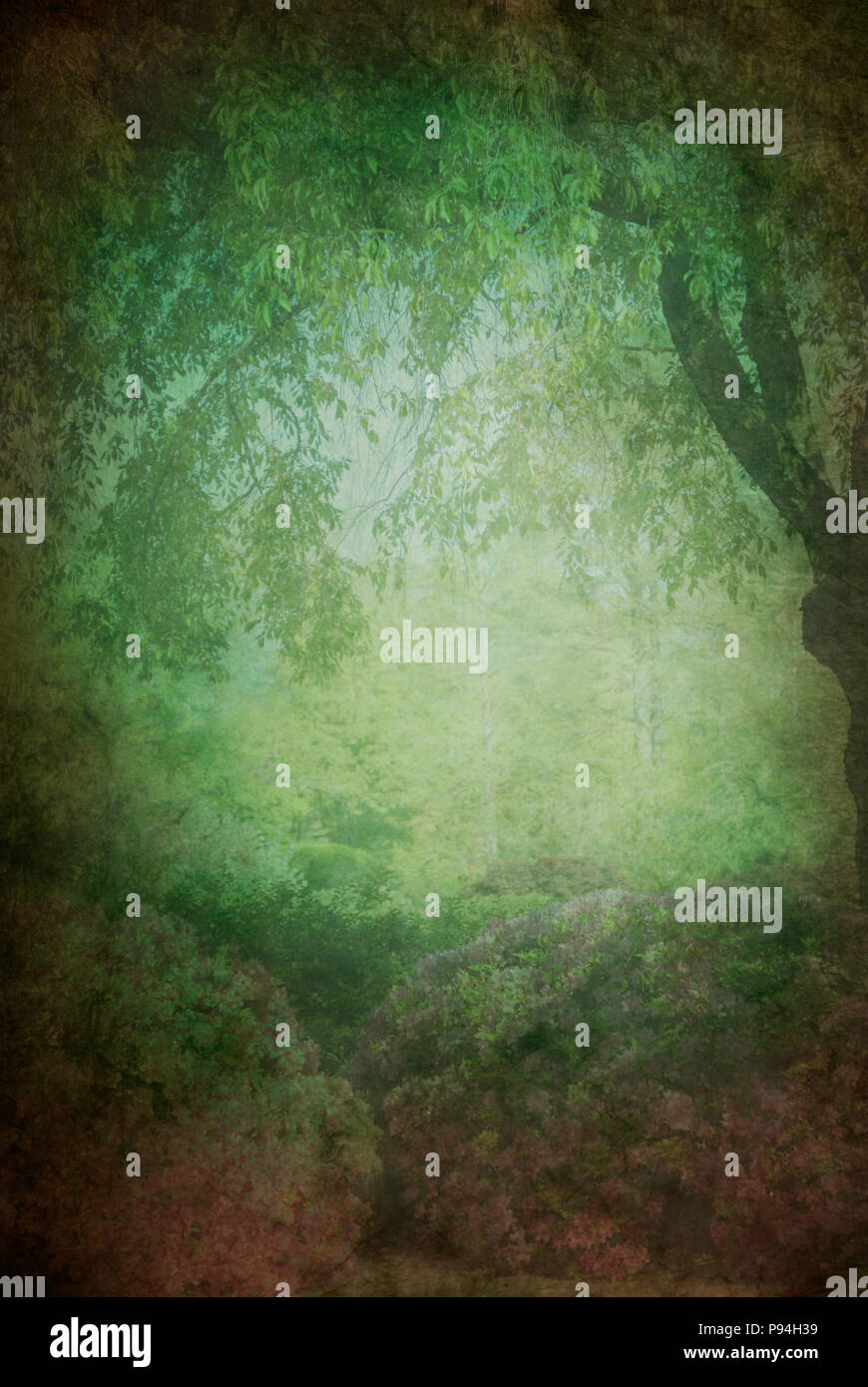 Open Clearing High Resolution Stock Photography and Images - Alamy
