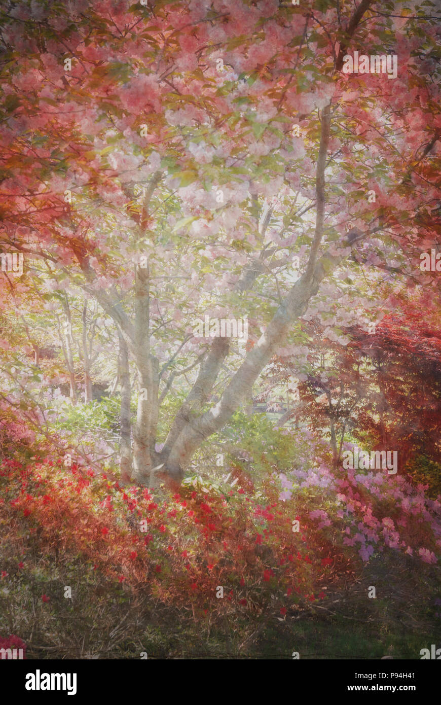 Beautiful Garden Scenes High Resolution Stock Photography and Images ...