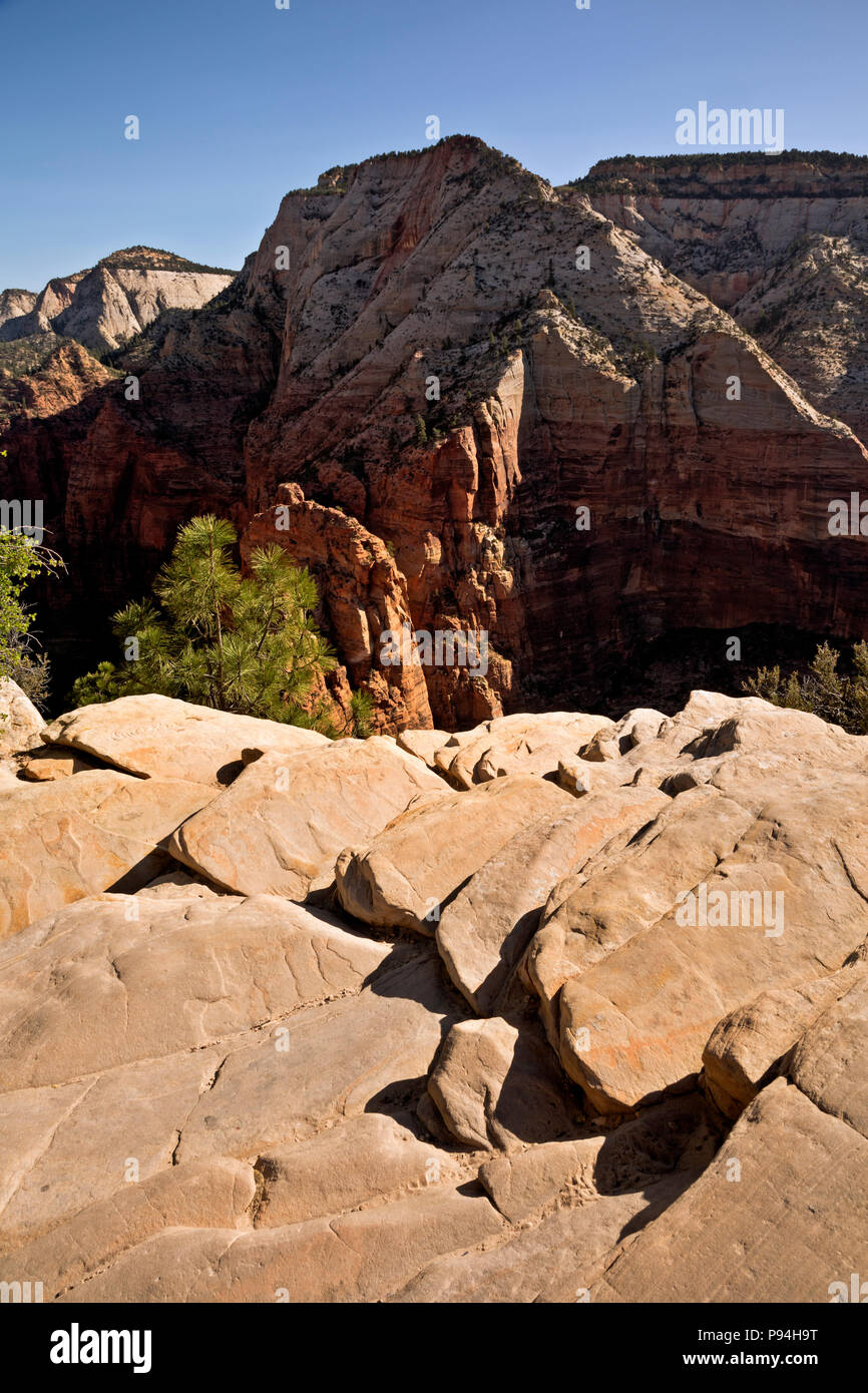 UTAH - Early morning view of Observation Point from Angels Landing in ...