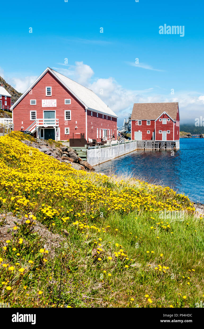 Newfoundland hi-res stock photography and images - Alamy