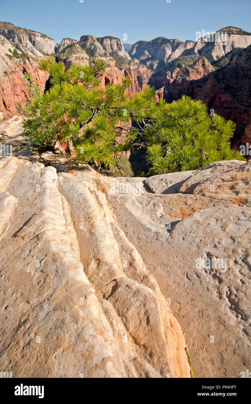 Layered sandstone hi-res stock photography and images - Alamy