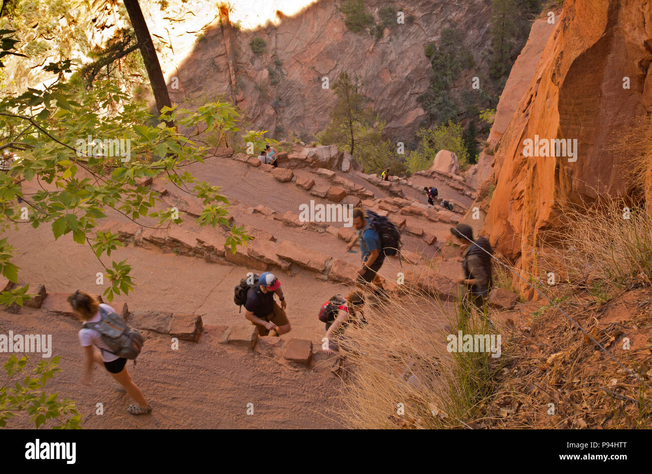 Walter's wiggles zion national park hi-res stock photography and images ...