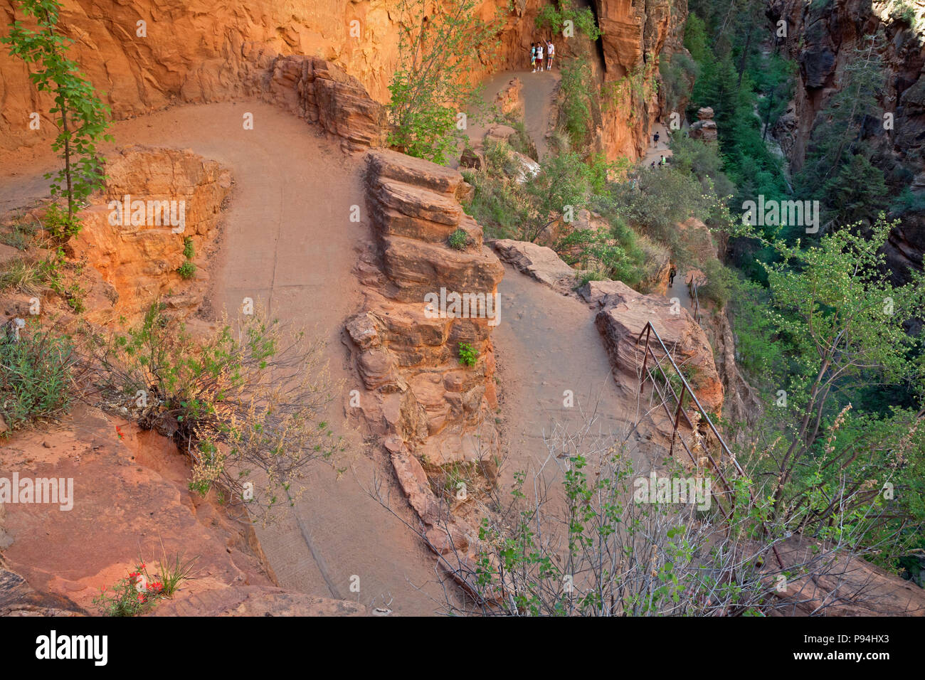 Walter's wiggles zion national park hi-res stock photography and images ...