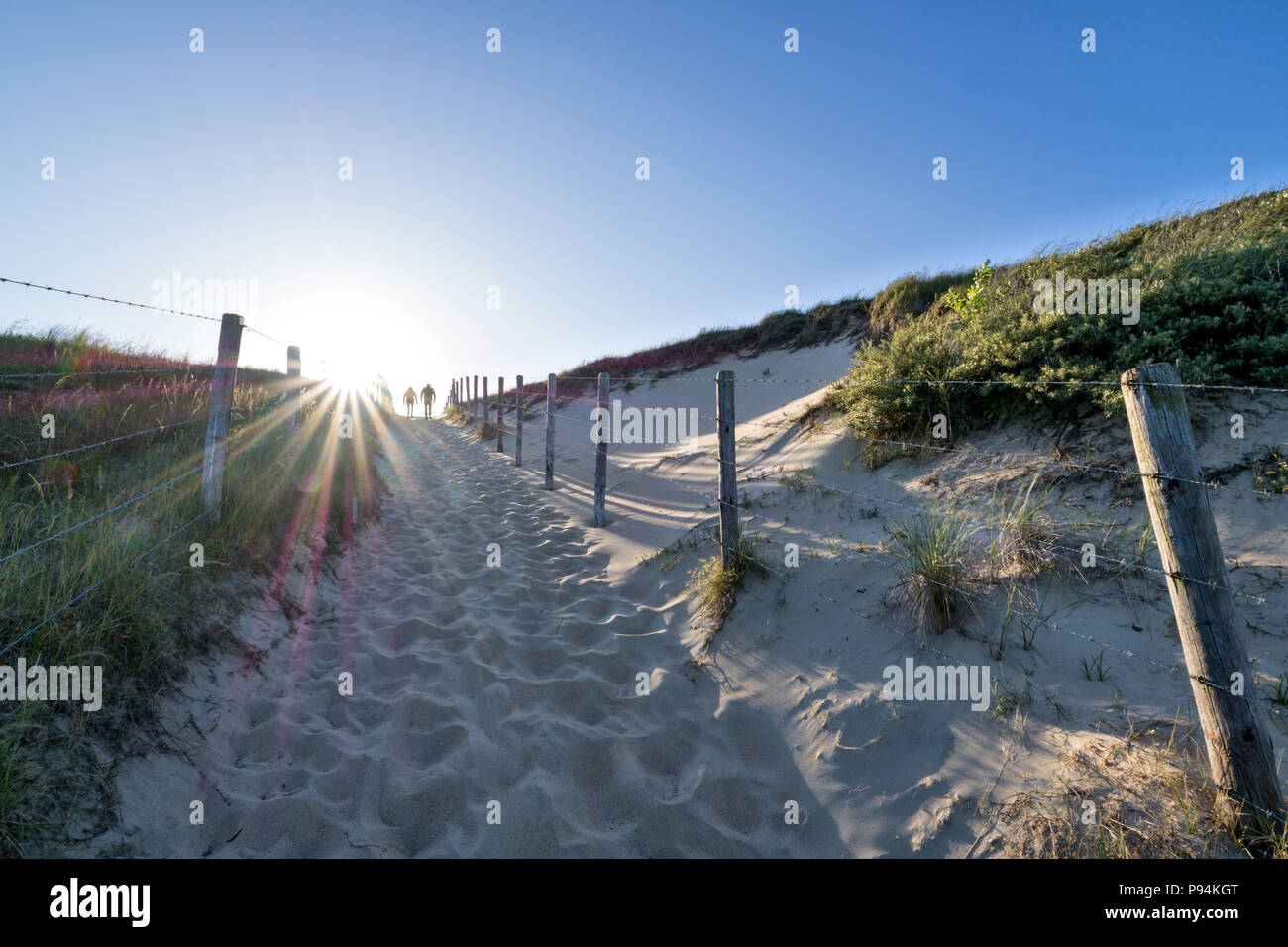 Sandy path through dunes at the north sea hi-res stock photography and ...