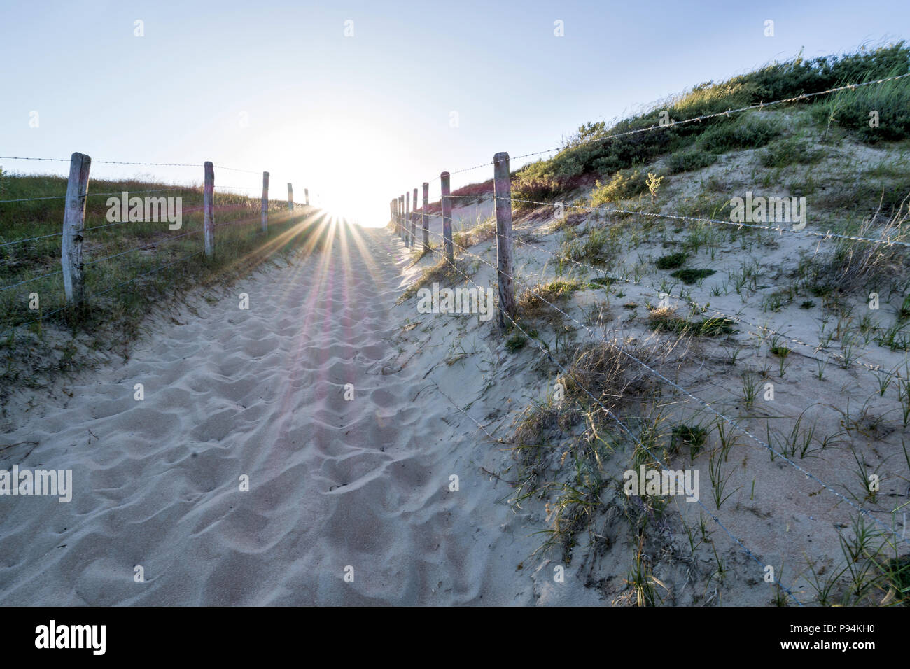 sandy path through the dunes Stock Photo - Alamy
