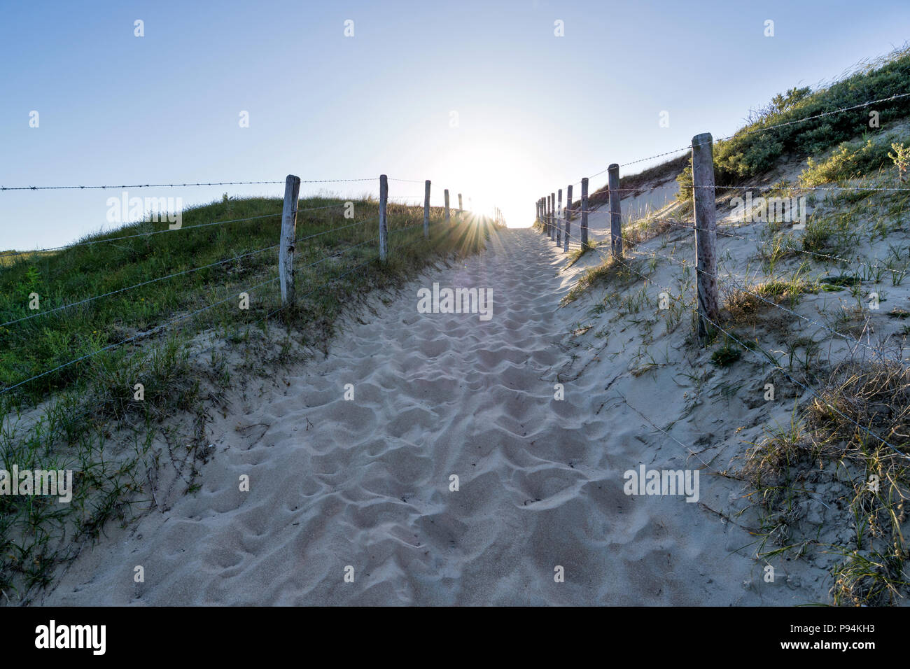 sandy path through the dunes Stock Photo - Alamy