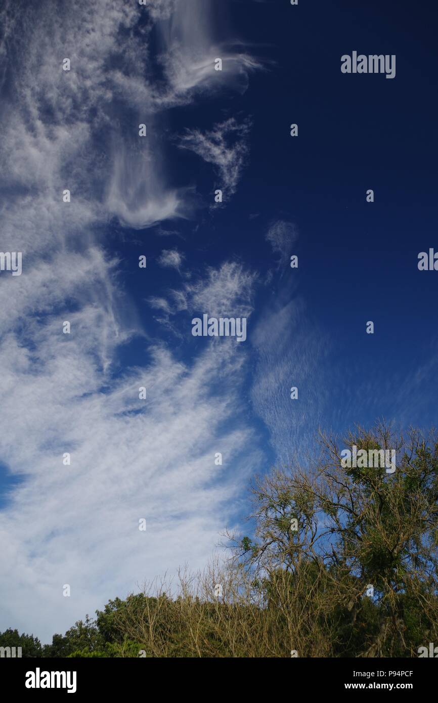 Cirrus Clouds in a Dark Blue Summer Sky. Abernethy, Perth, Scotland, UK ...