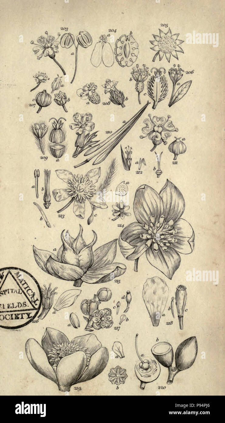 Botany history historical archive archival hi-res stock photography and ...