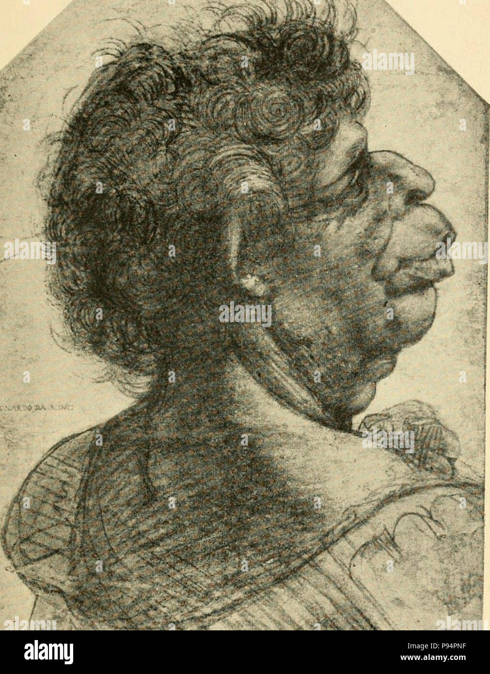 A Grotesque Head, by Leonardo da Vinci Stock Photo - Alamy