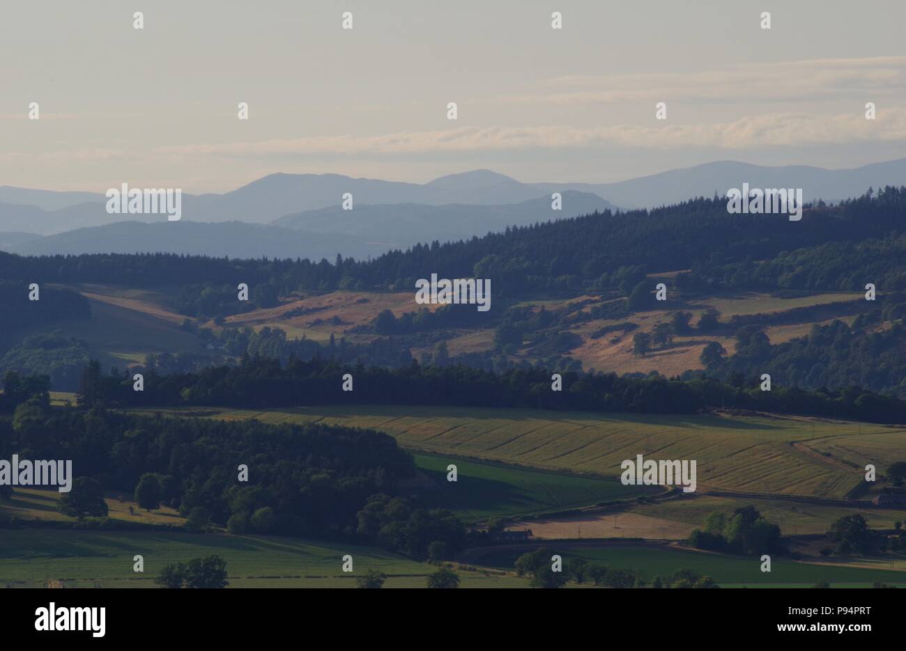 Summer Farming Landscape of the Tay Valley, from Castle Law. Abernethy ...