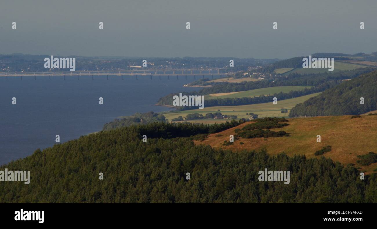 Conifer forestry plantation wooded hi-res stock photography and images ...