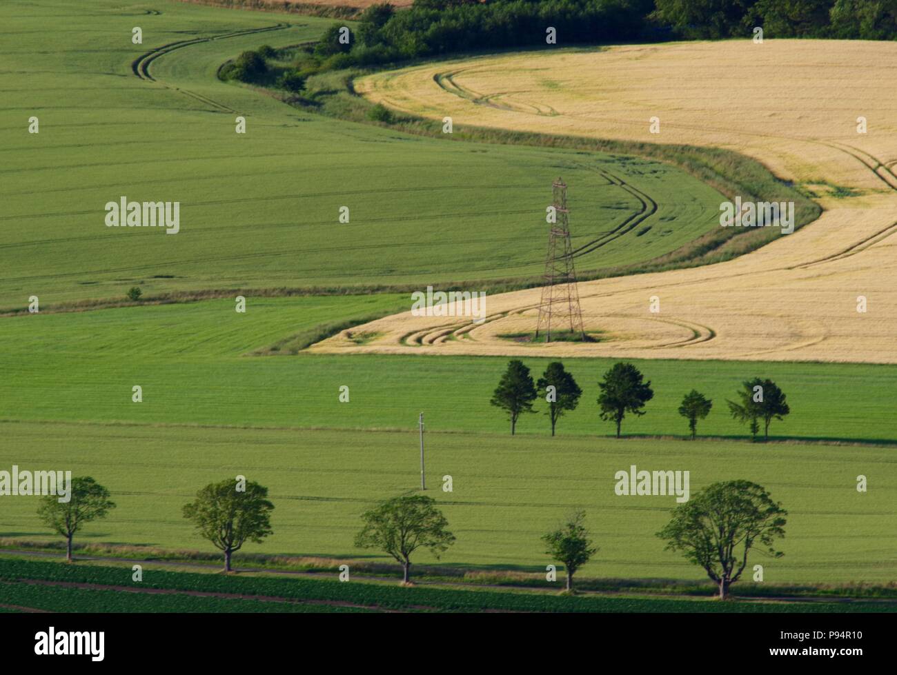 National Grid Pylon in Summer Farming Abstract Landscape of the Tay ...