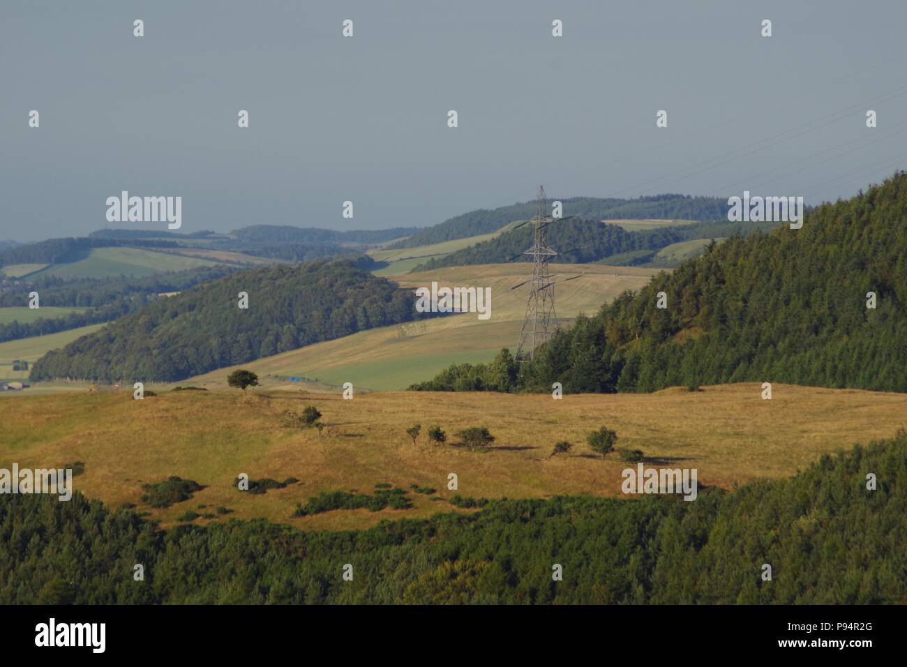 Conifer Plantation Farmland. Abernethy, Perth, Scotland, UK. July, 2018 ...