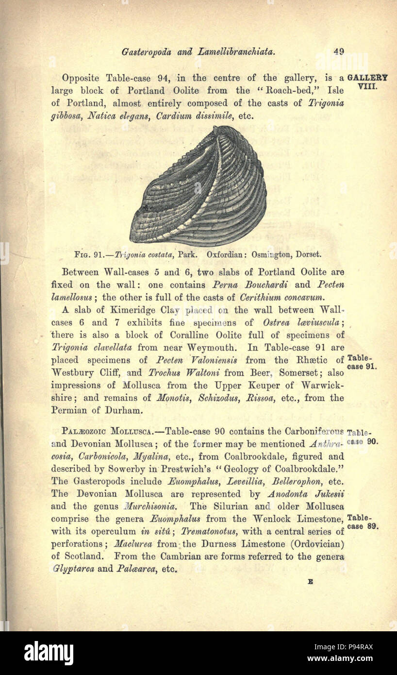 A guide to the fossil invertebrates and plants in the Department of ...