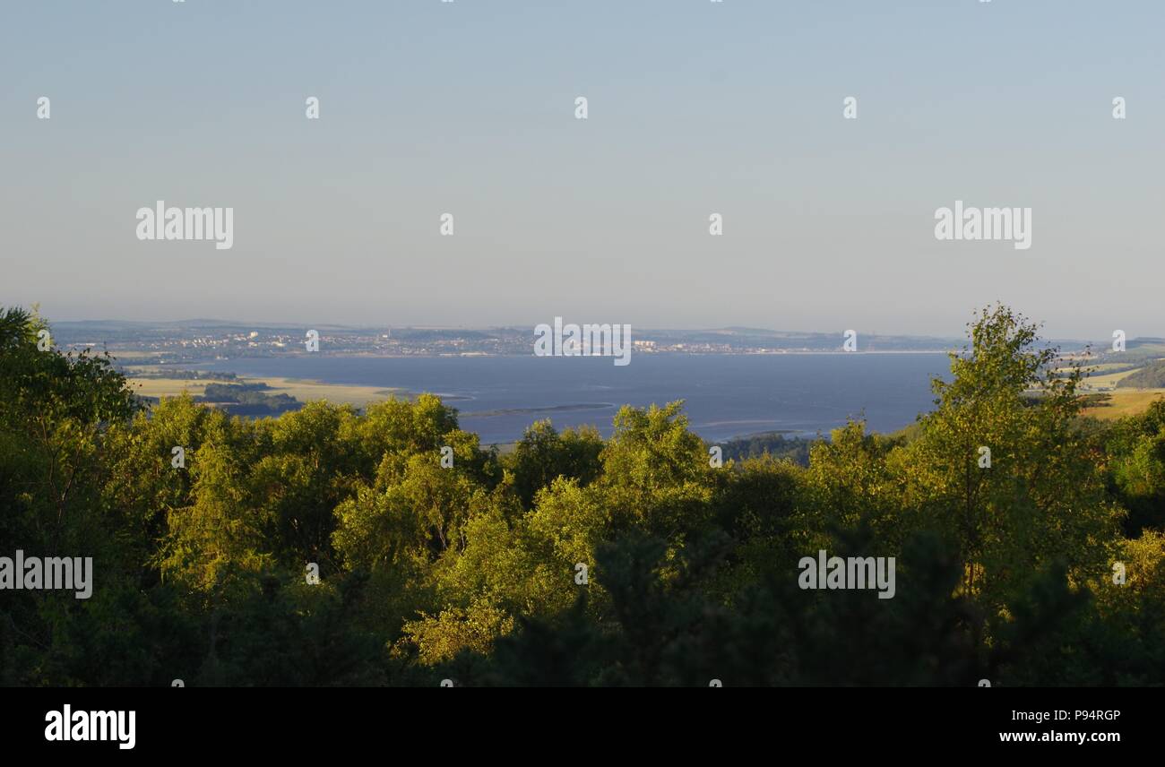 Abernethy forest canopy perth hi-res stock photography and images - Alamy
