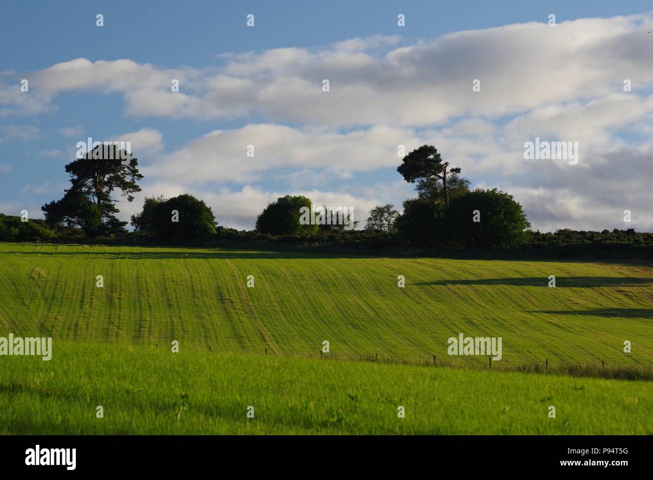 Summer Perth High Resolution Stock Photography and Images - Alamy