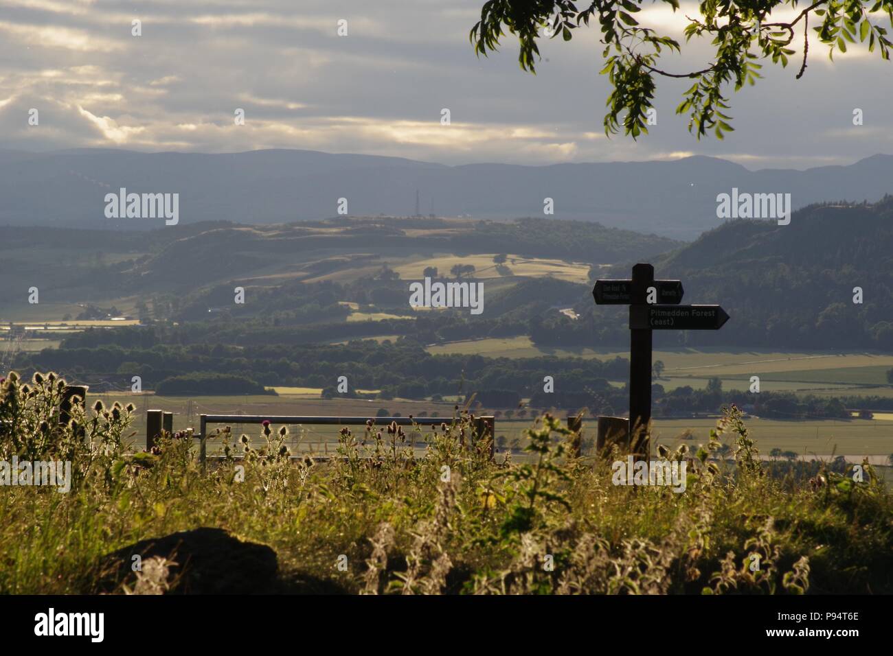 Silhouetted Wooden Signpost along Abernethy Glen, with Wooded Farmland ...