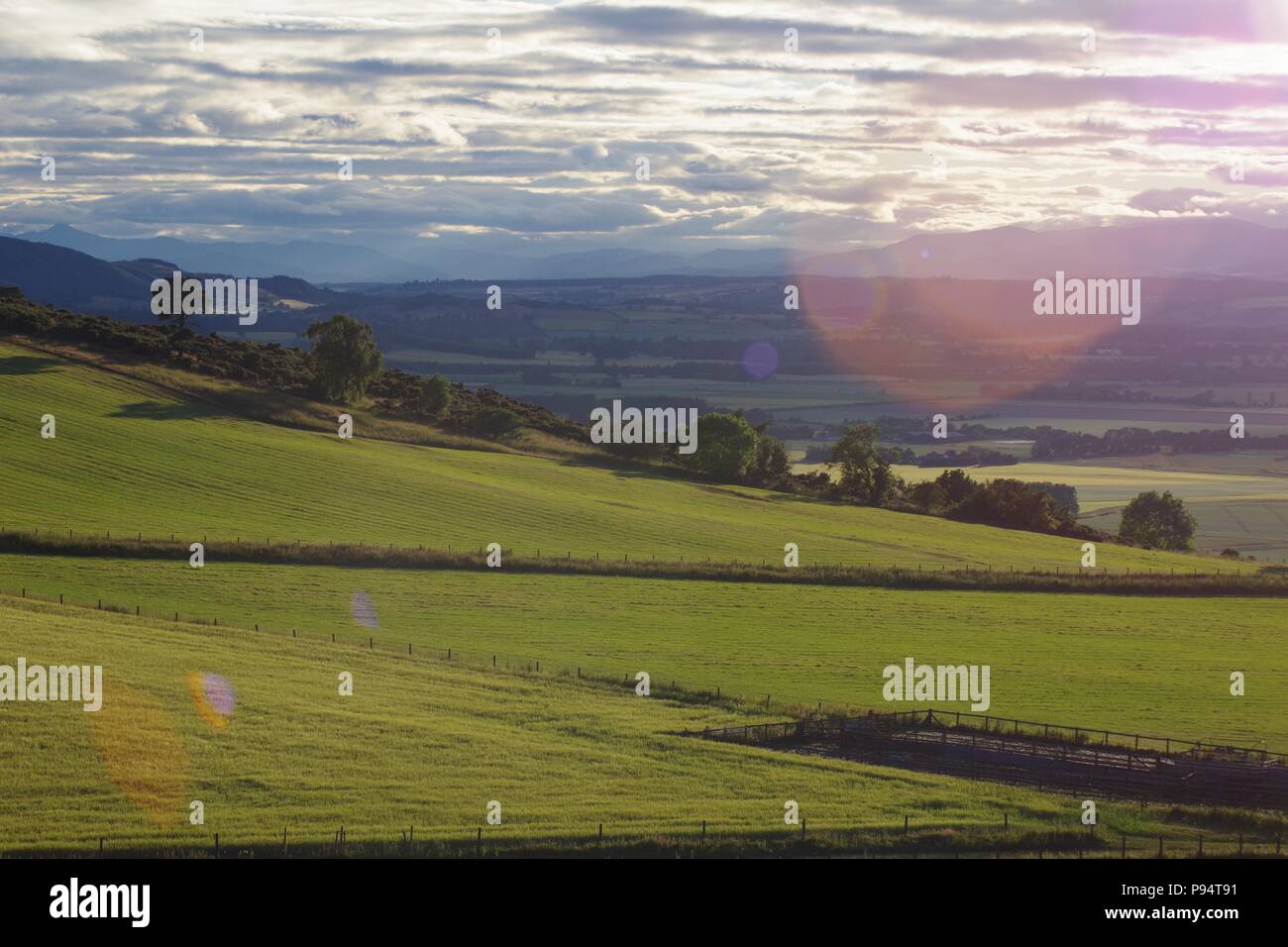Summer Farming Landscape of the Tay Valley. Abernethy, Perth, Scotland ...