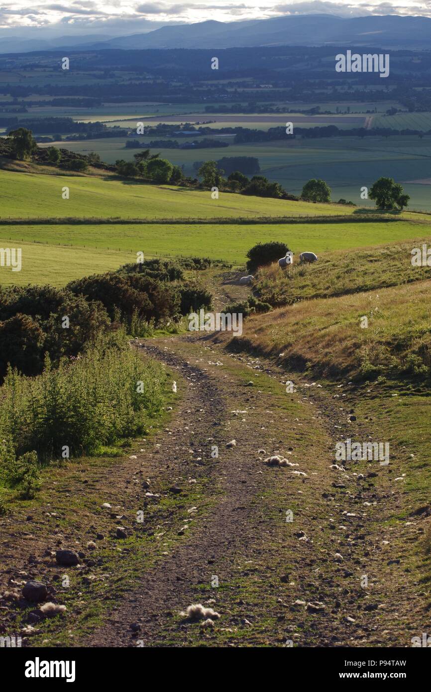 Abernethy perthshire hi-res stock photography and images - Alamy