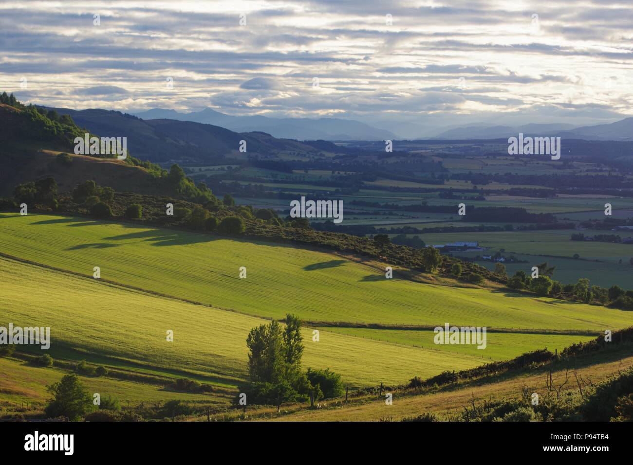 Abernethy field hi-res stock photography and images - Alamy