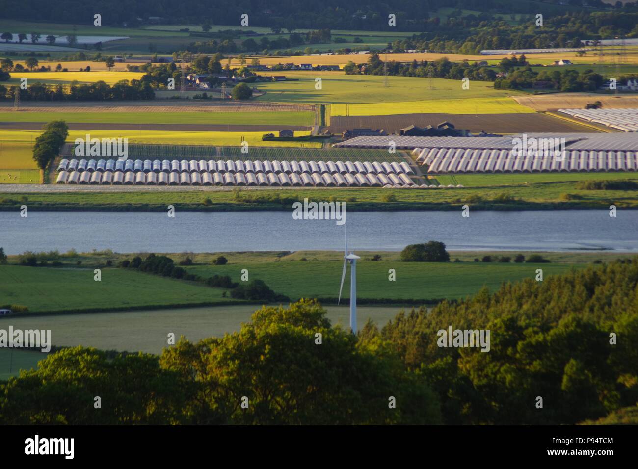 Poly Tunnel Fruit Farming by the River Tay in the Golden Light of ...