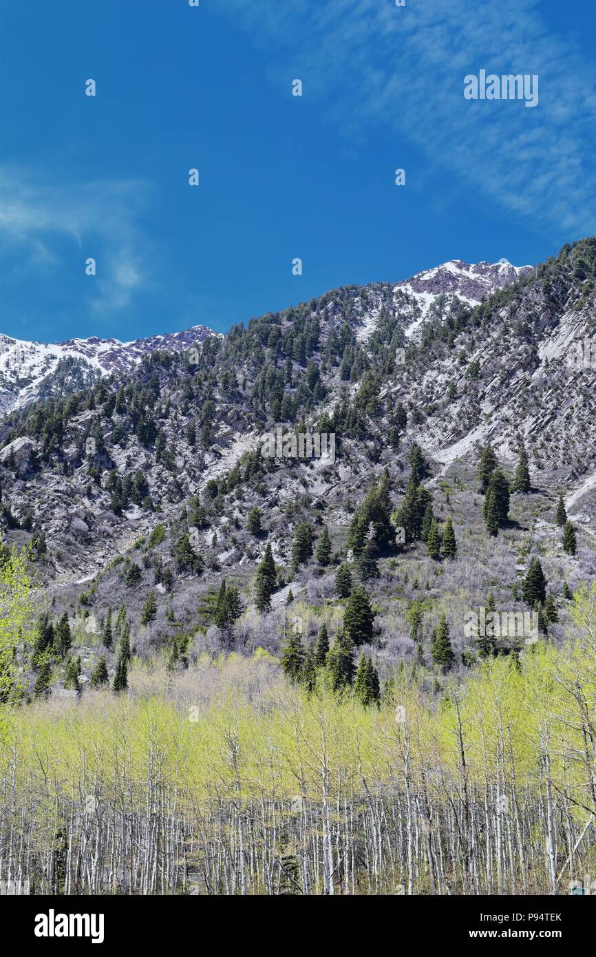 Panoramic Views of Wasatch Front Rocky Mountains from Little Cottonwood ...