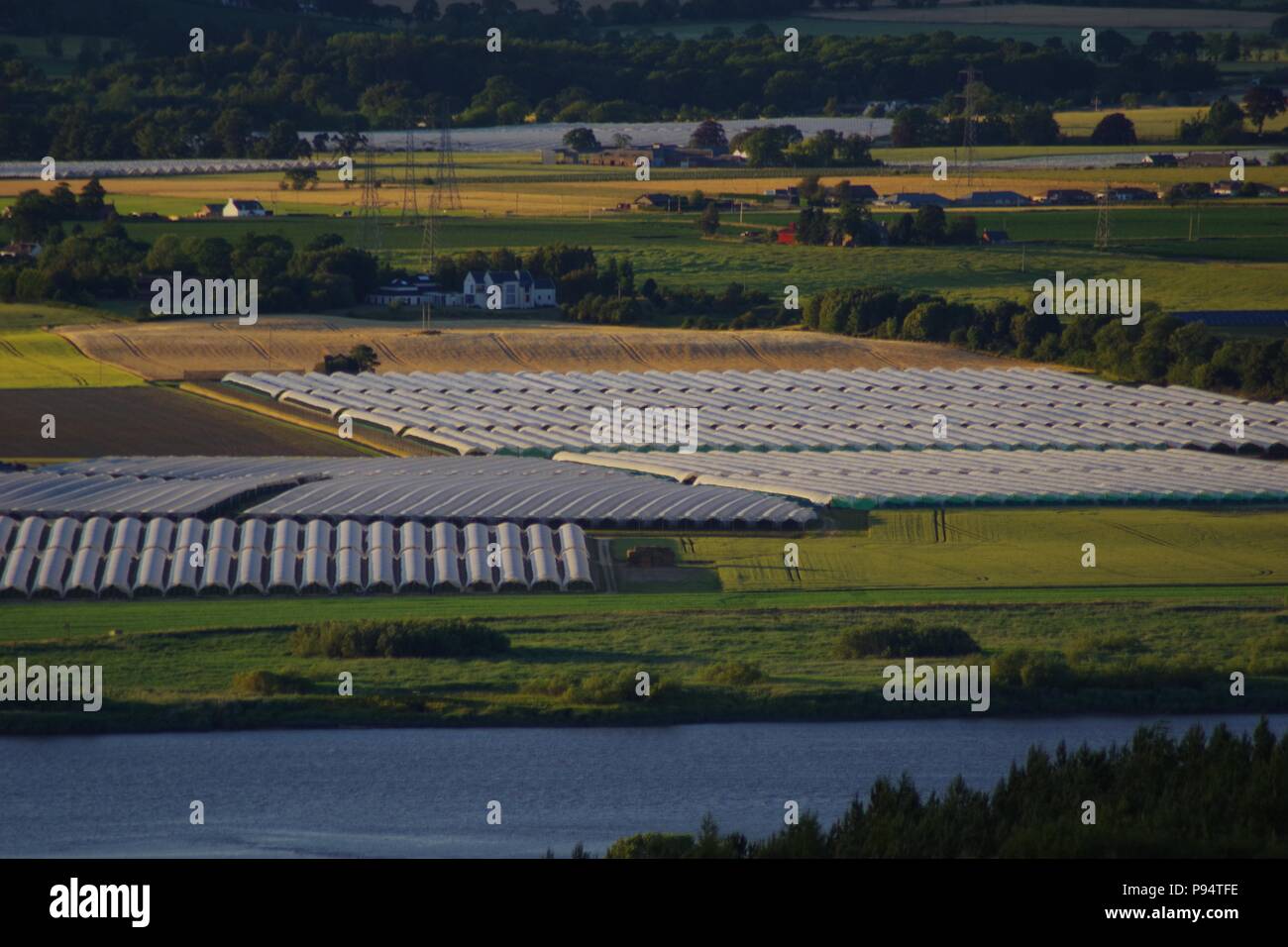 Poly Tunnel Fruit Farming by the River Tay in the Golden Light of ...