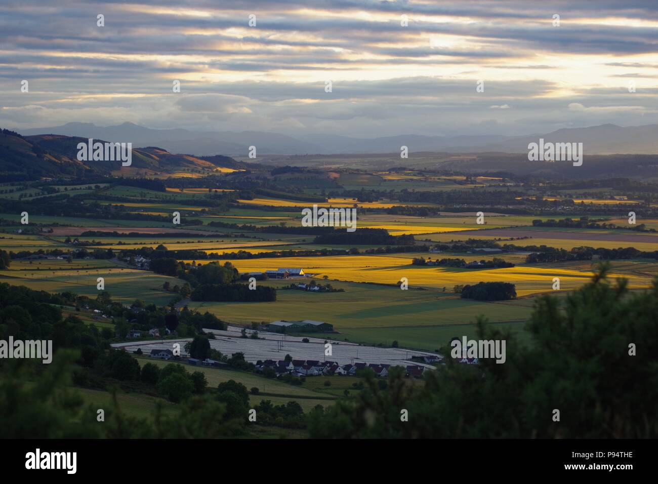 Tay Valley Farmland Landscape and Scottish Hills in the Golden Light of ...