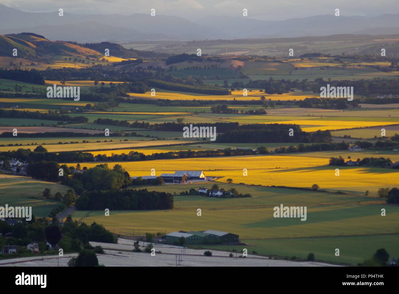 Tay Valley Farmland Landscape and Scottish Hills in the Golden Light of ...