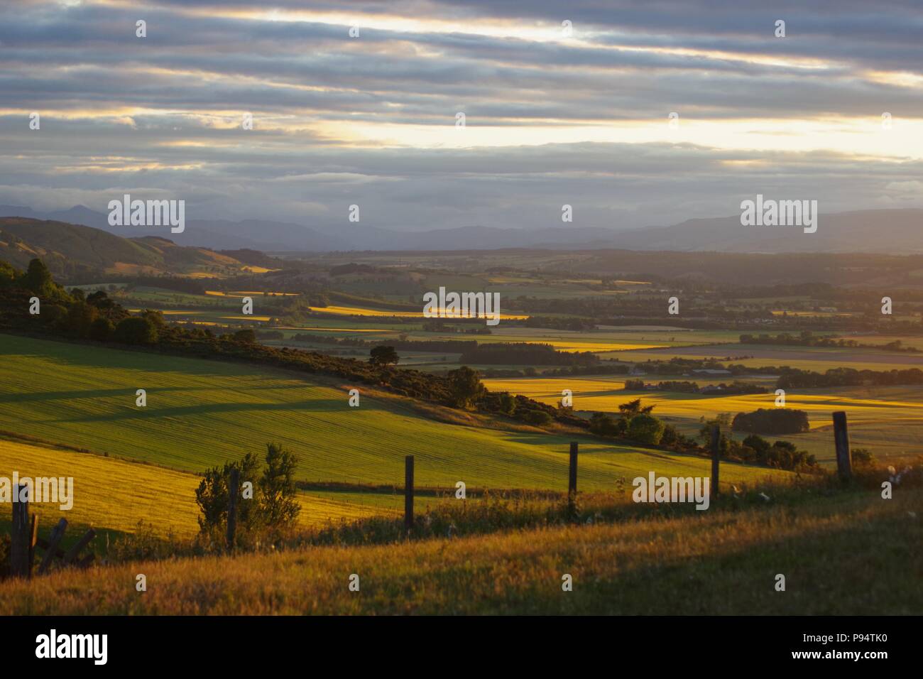 Scottish Arable Farmland Landscape of the Tay Valley in the Golden ...