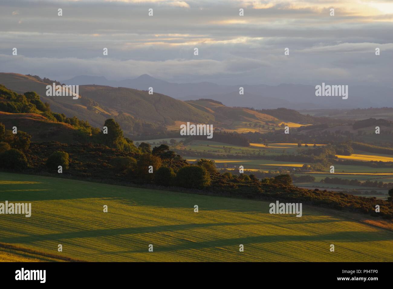 Tay Valley Farmland Landscape and Scottish Hills in the Golden Light of ...