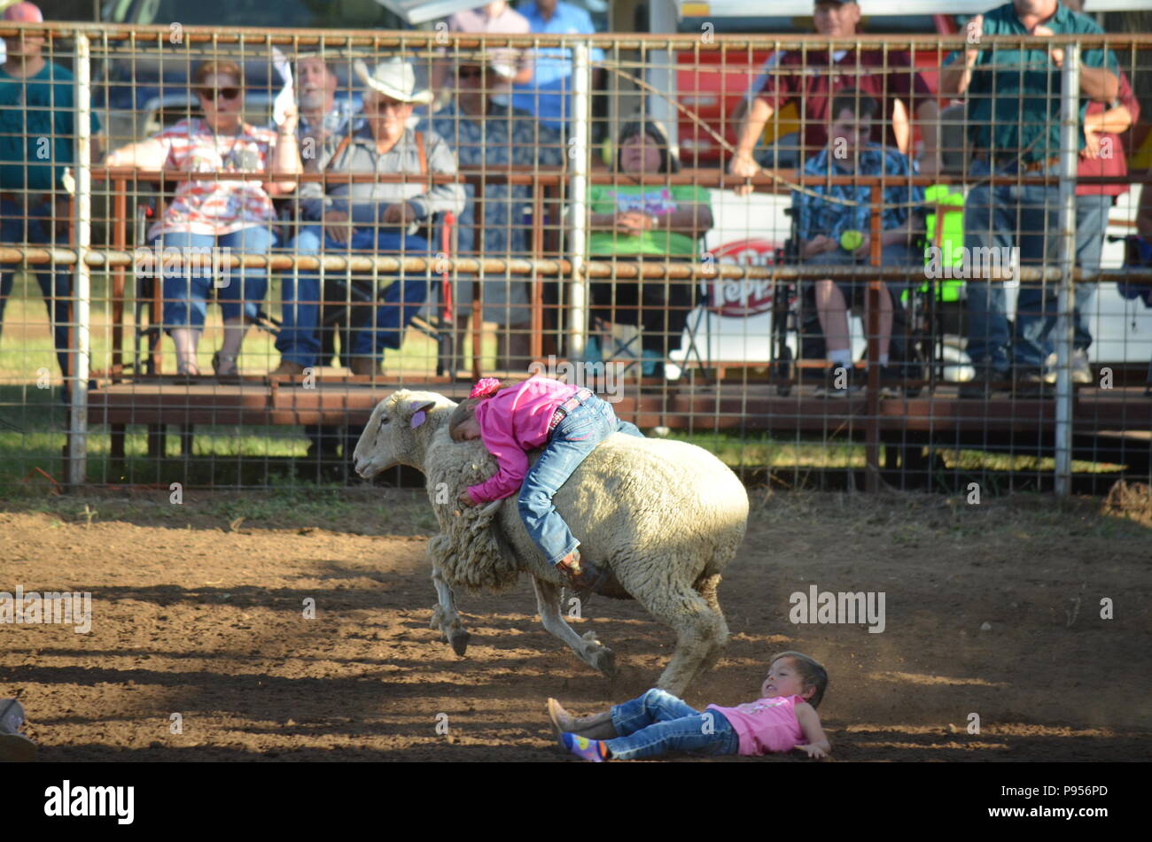 Rodeo prize hi-res stock photography and images - Alamy
